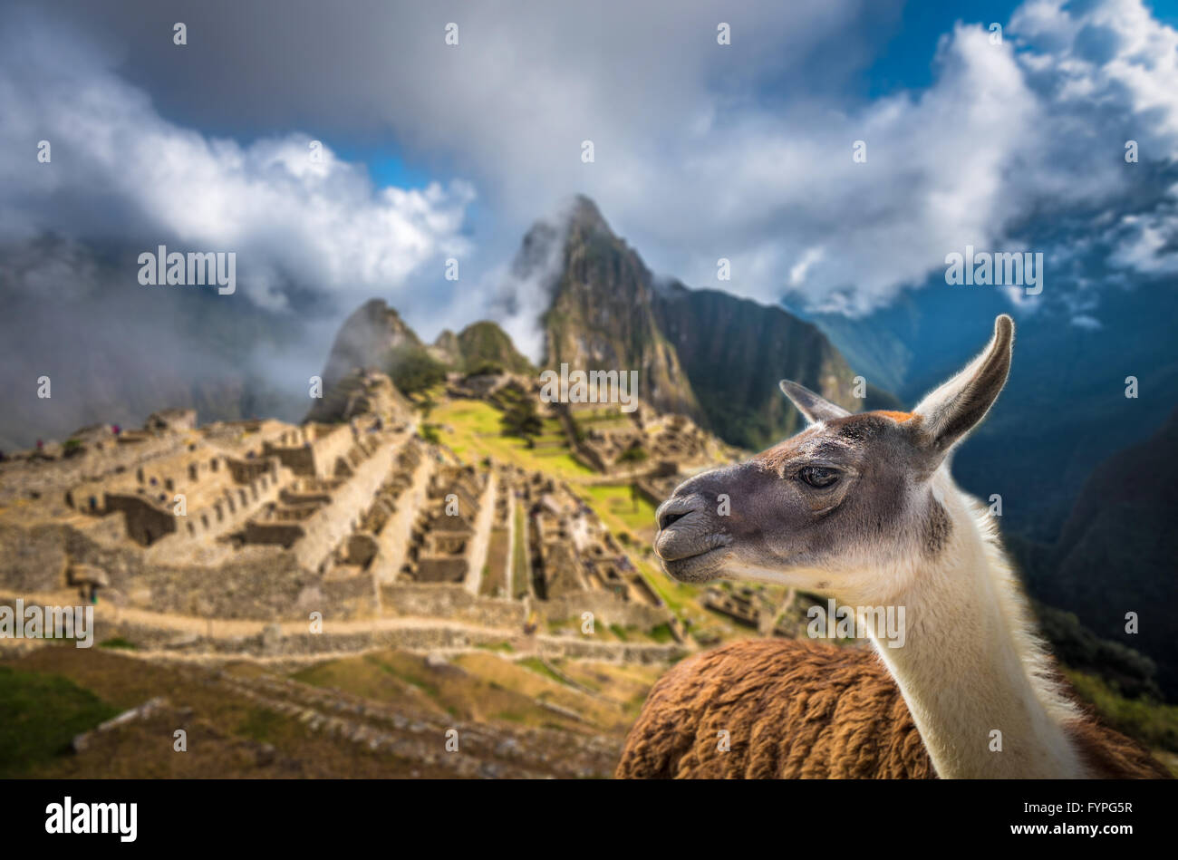 Machu Picchu, UNESCO World Heritage Site. One of the New Seven Wonders ...