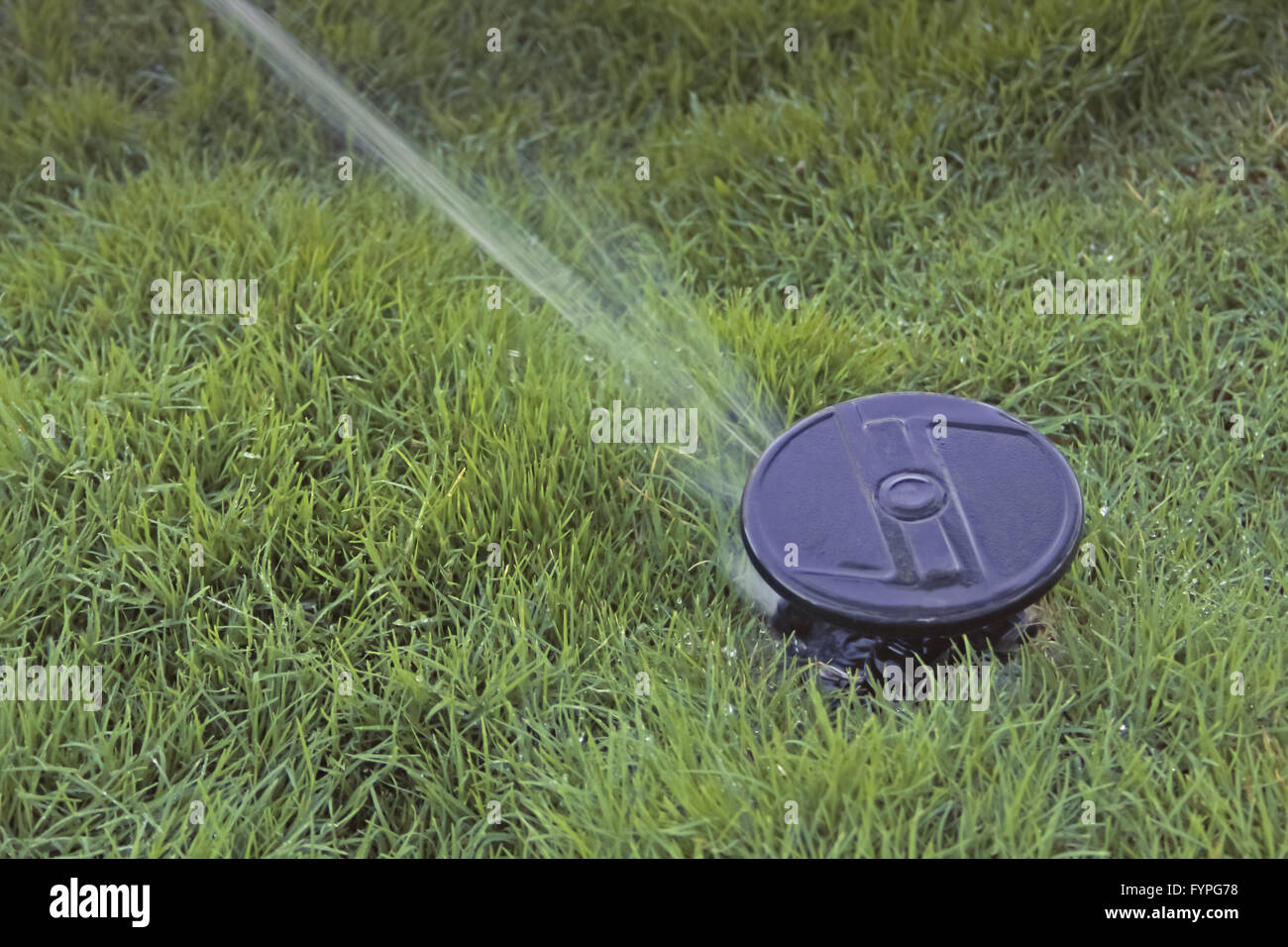 Pop up sprinkler hi-res stock photography and images - Alamy