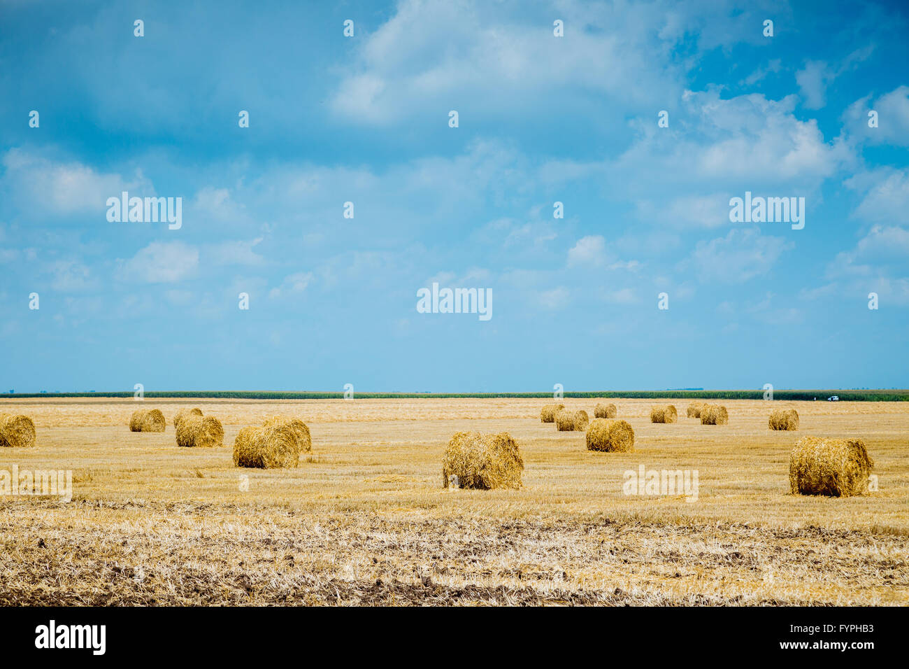 Straw bales on farmland Stock Photo - Alamy