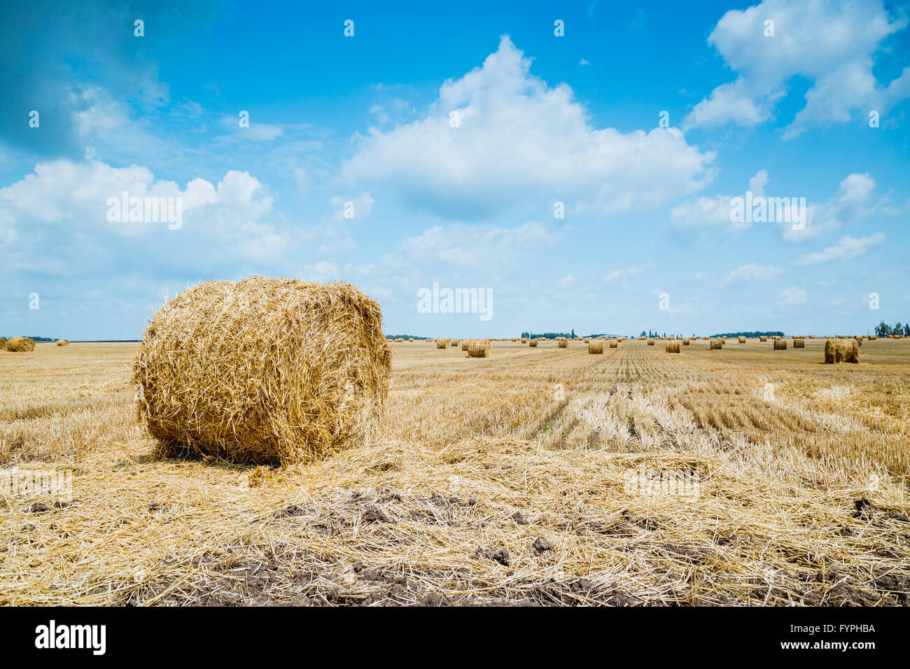 Bales on the sun hi-res stock photography and images - Alamy