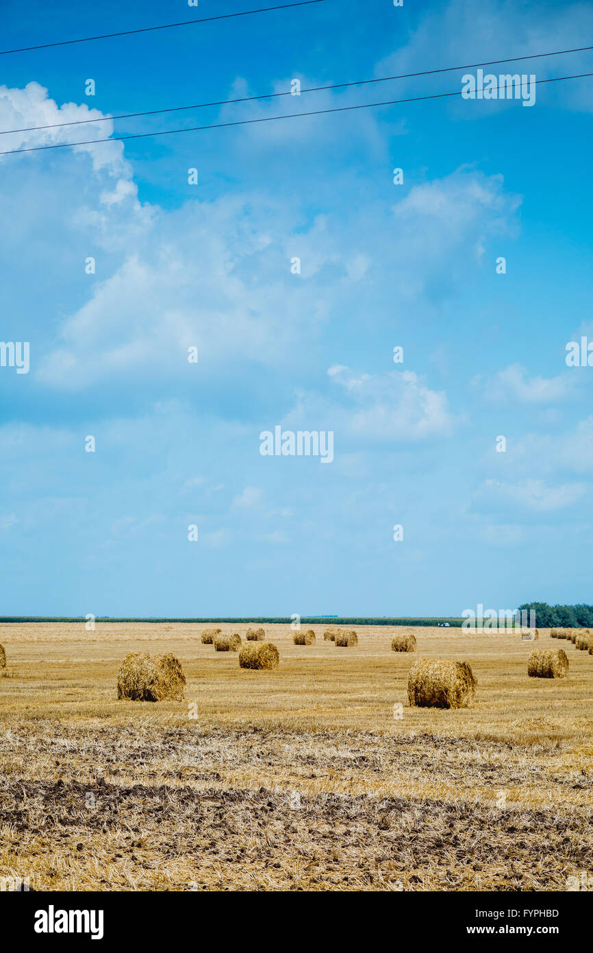 Straw bales on farmland Stock Photo - Alamy