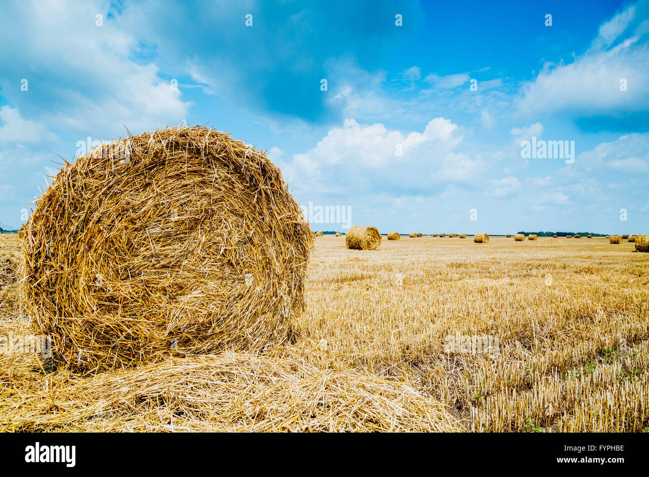 Bales on the sun hi-res stock photography and images - Alamy