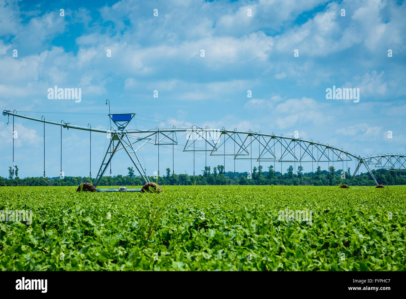 beet field watering machine Stock Photo - Alamy