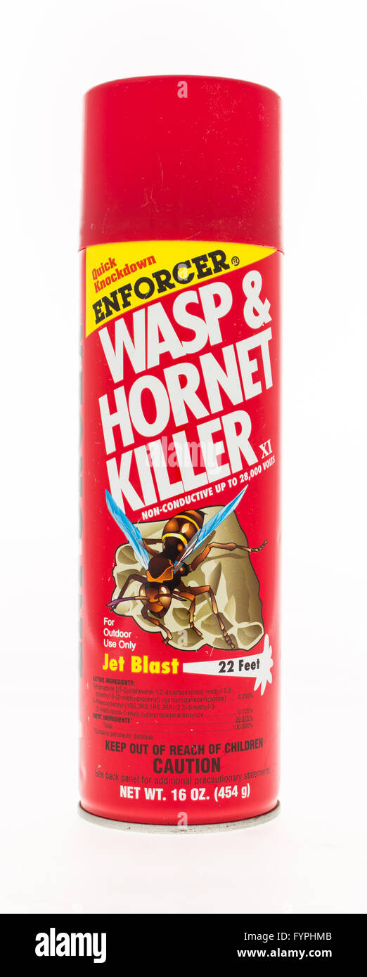 Winneconne, WI - 20 April 2015: Spray can of Enforcer wasp and hornet ...