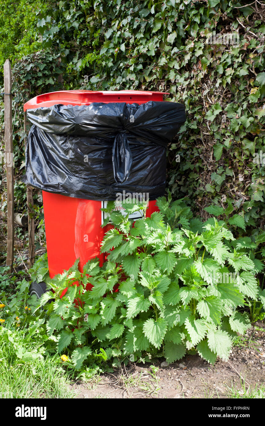 bright red wheelie bin surrounded by nettles england uk Stock Photo - Alamy
