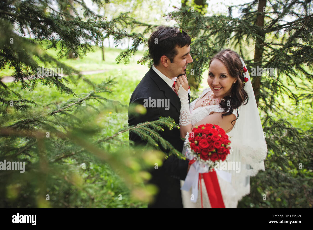 wedding couple near pine trees Stock Photo - Alamy