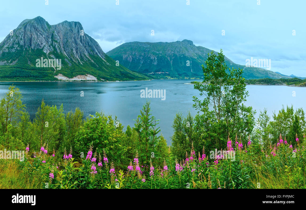 Norway summer fjord hi-res stock photography and images - Alamy