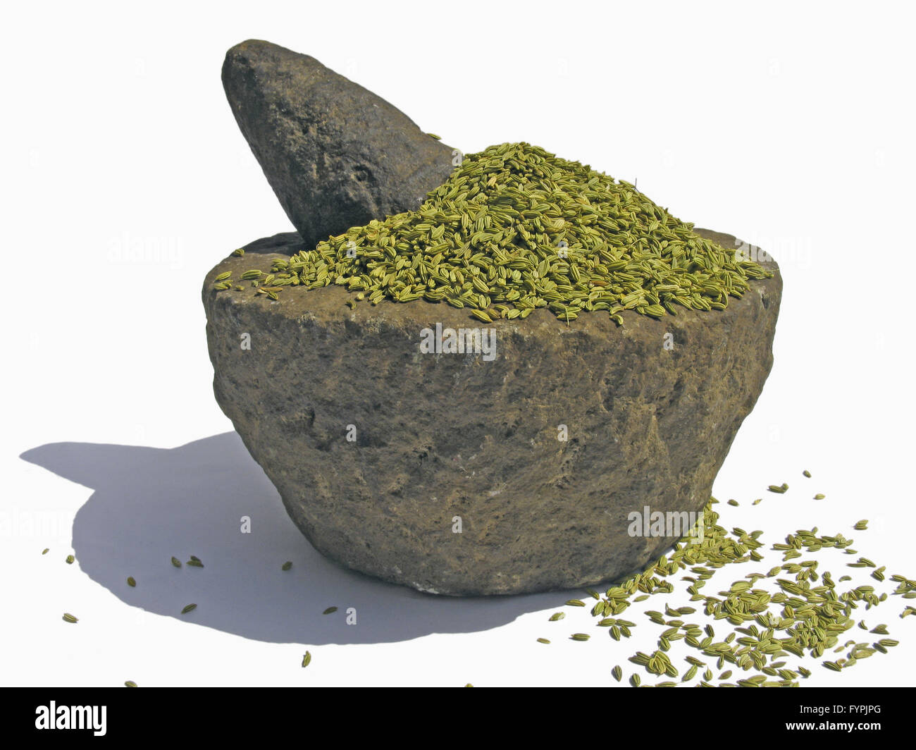 Anise fennel hi-res stock photography and images - Alamy