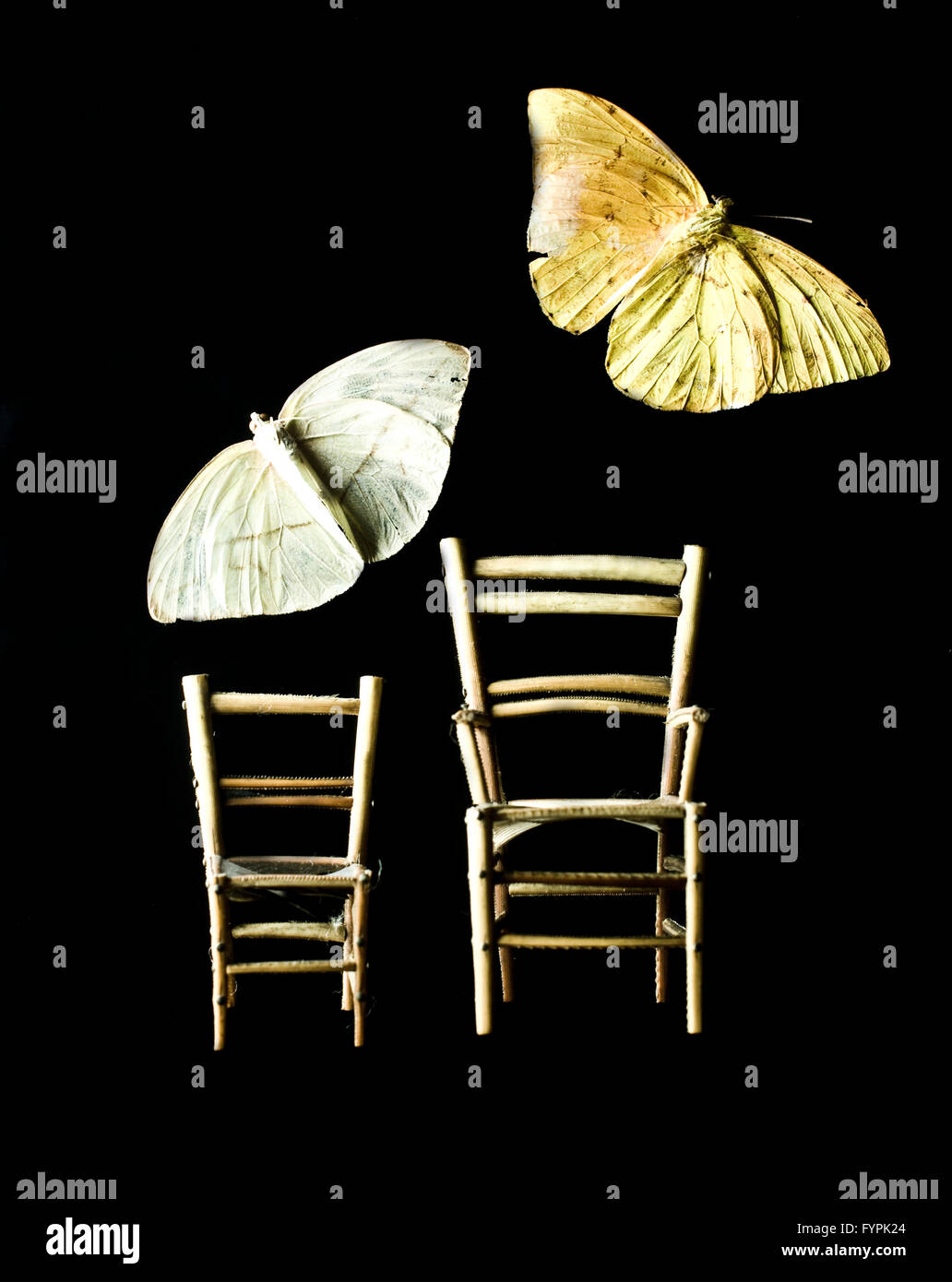 Butterflies and Small Sets Stock Photo - Alamy