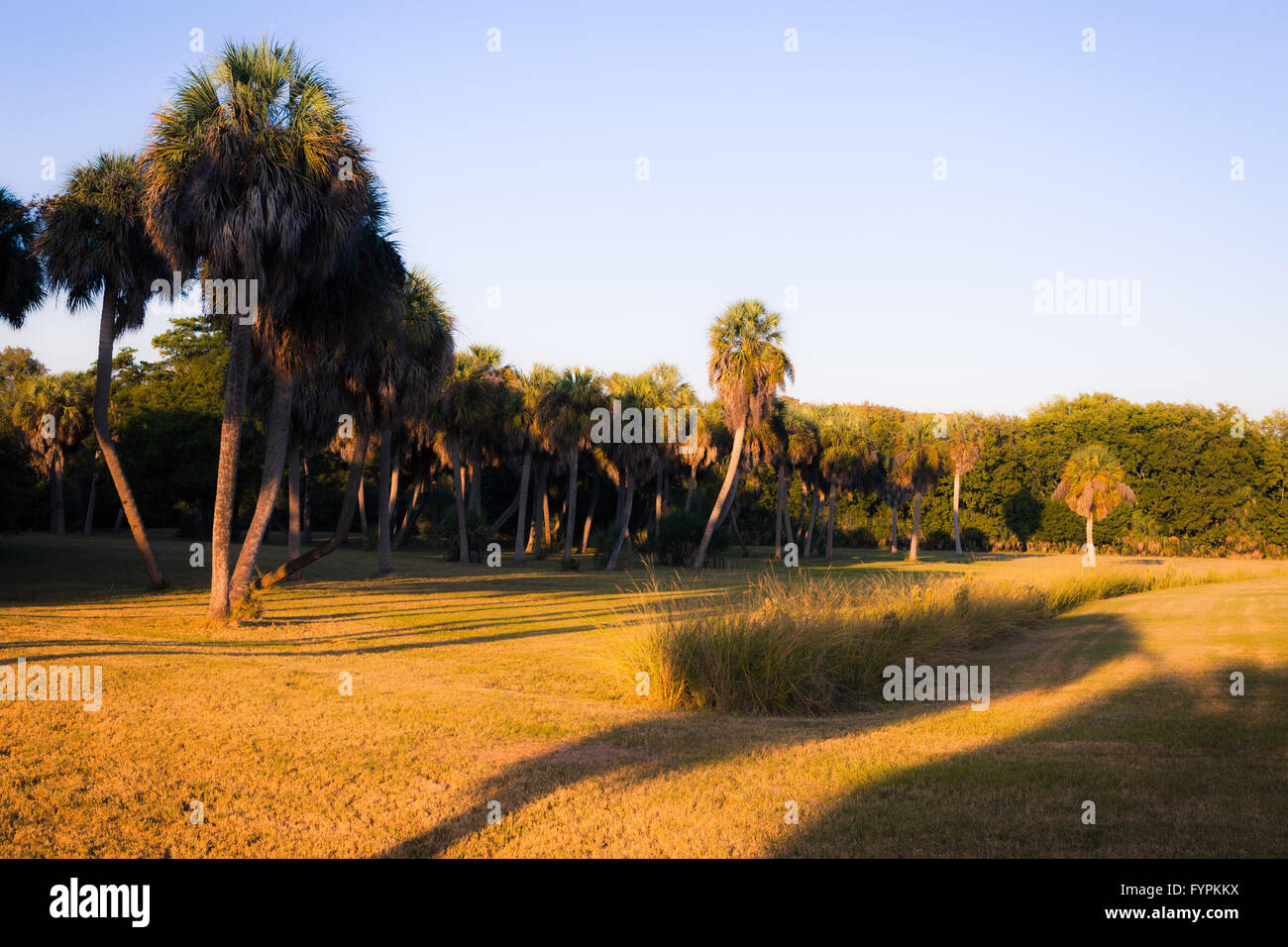 Most beautiful park hi-res stock photography and images - Alamy