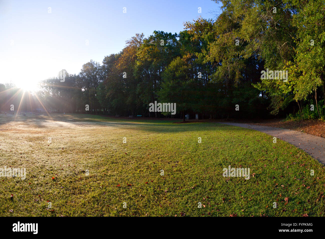 Beautiful park morning view hi-res stock photography and images - Alamy