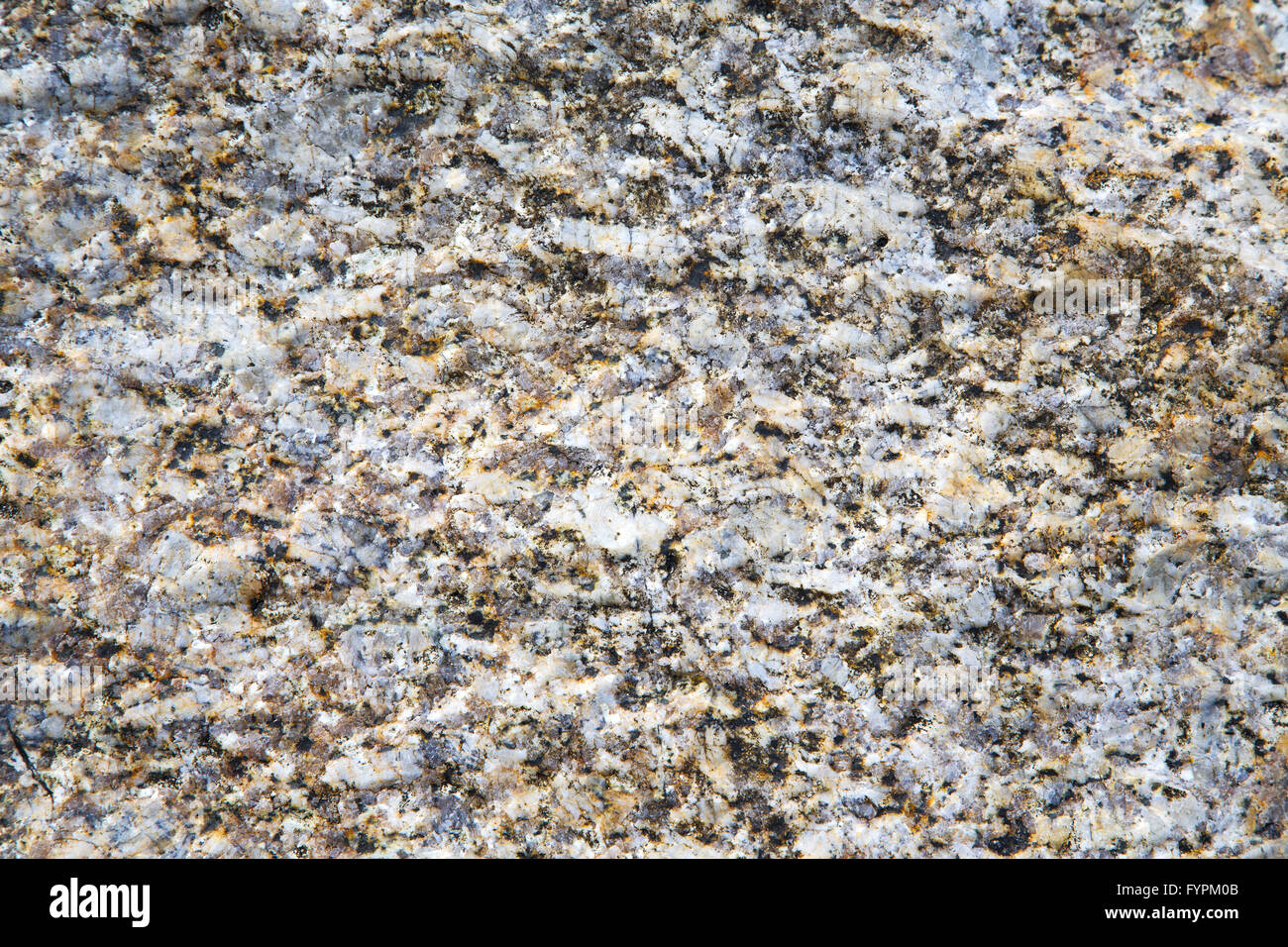 footstep kho samui rock stone abstract texture s Stock Photo - Alamy