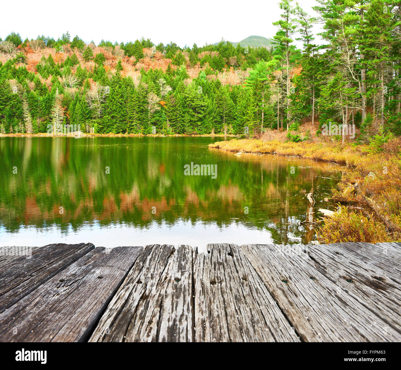 Pond in White Mountain National Forest, New Hampshire Stock Photo - Alamy