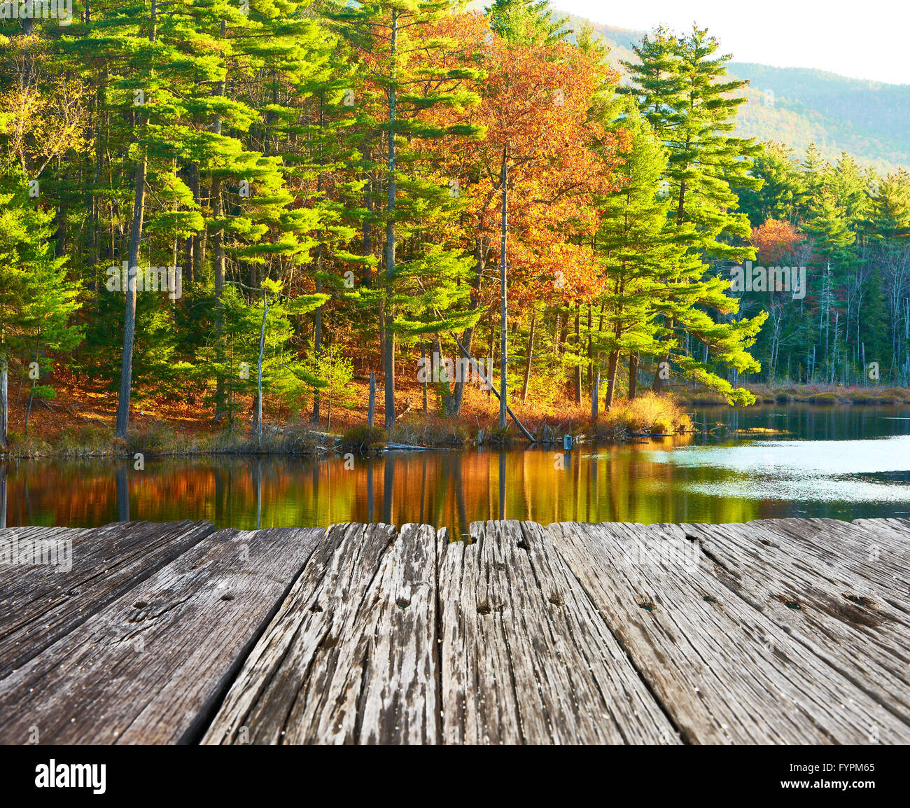 Pond in White Mountain National Forest, New Hampshire Stock Photo - Alamy