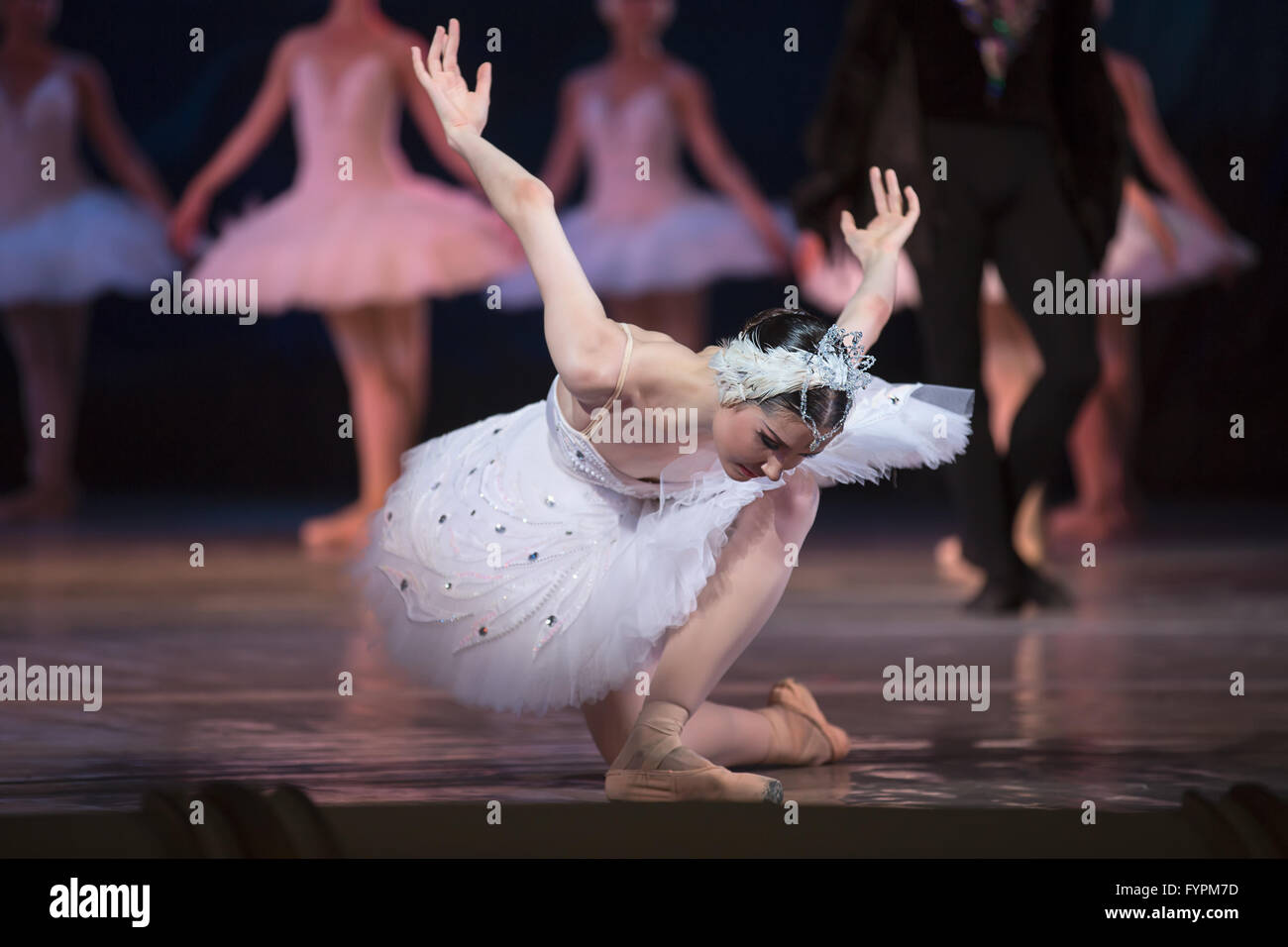 Prima ballerina white swan Stock Photo - Alamy