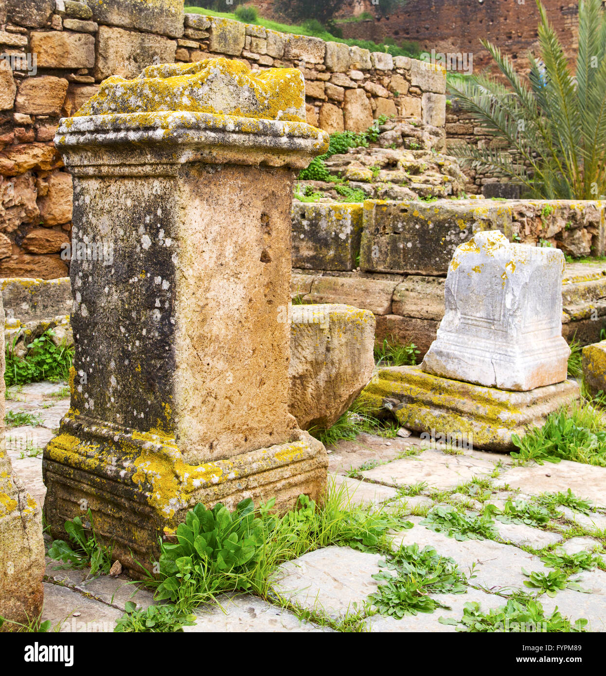 chellah in morocco africa the old roman deteriorated monument and site ...