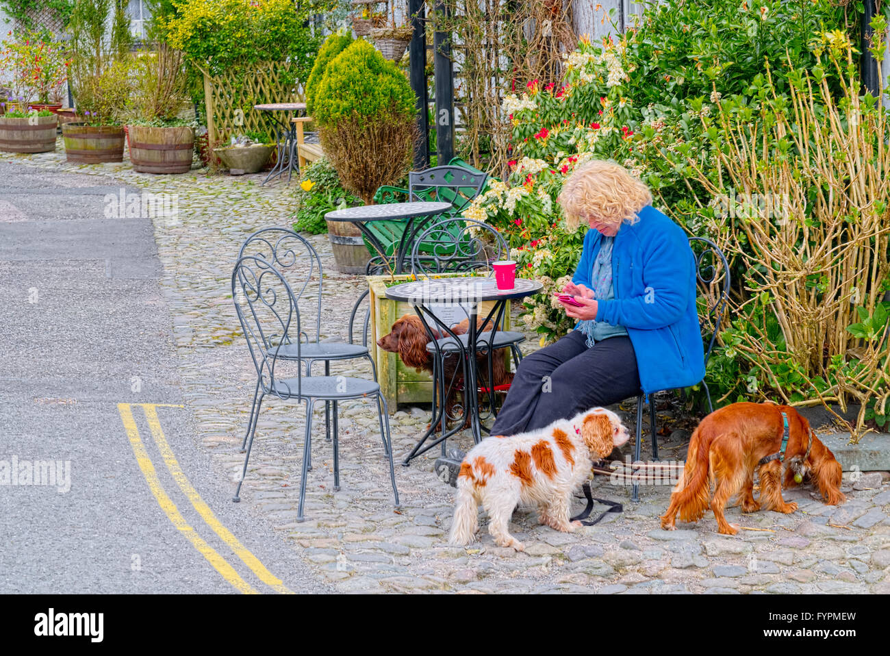 street scene in hawkshead english lake district Stock Photo - Alamy