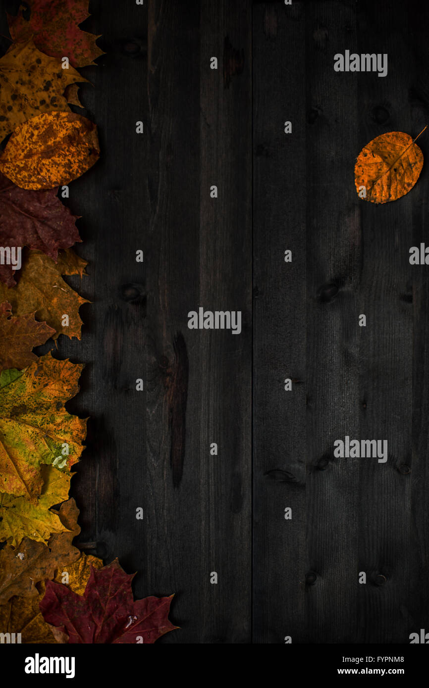 Wood autumn background Stock Photo - Alamy