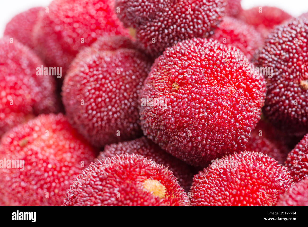 red and ripe waxberry under white background Stock Photo - Alamy