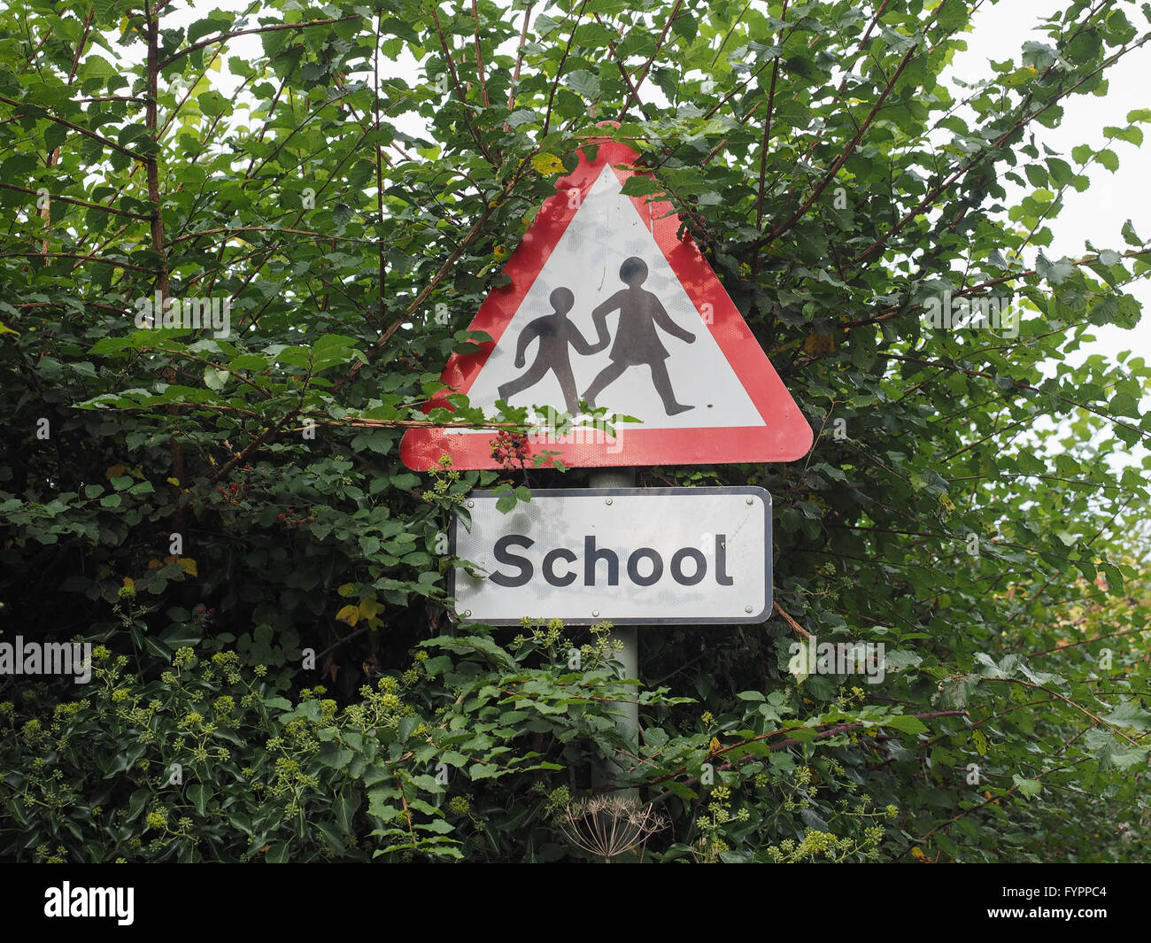 School children sign Stock Photo - Alamy