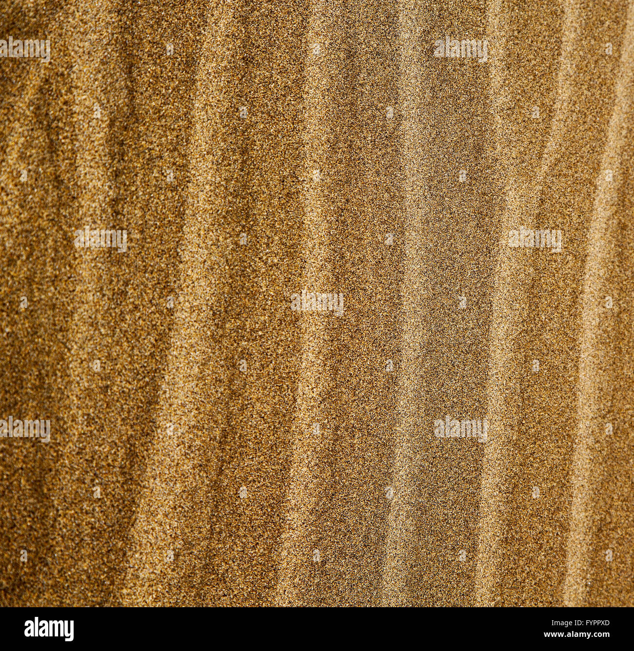 in lanzarote spain of a dry sand and the beach Stock Photo - Alamy