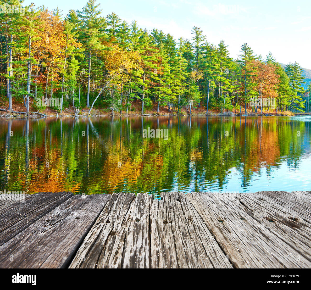 Pond in White Mountain National Forest, New Hampshire Stock Photo - Alamy