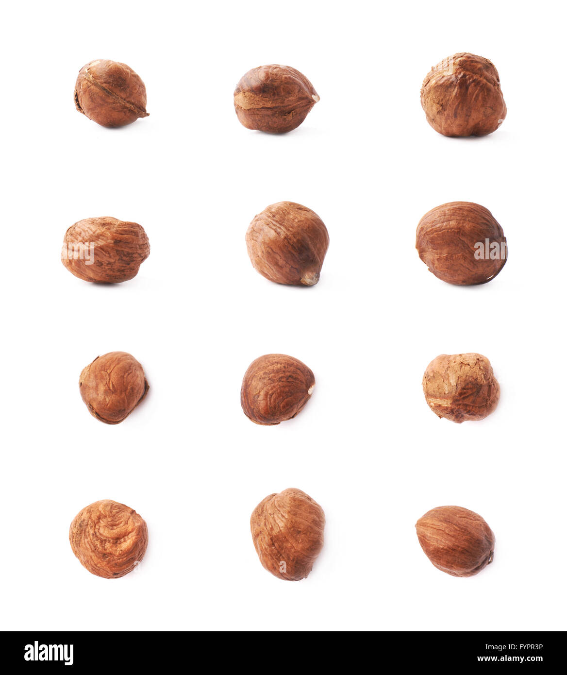 Single hazelnut isolated Stock Photo - Alamy