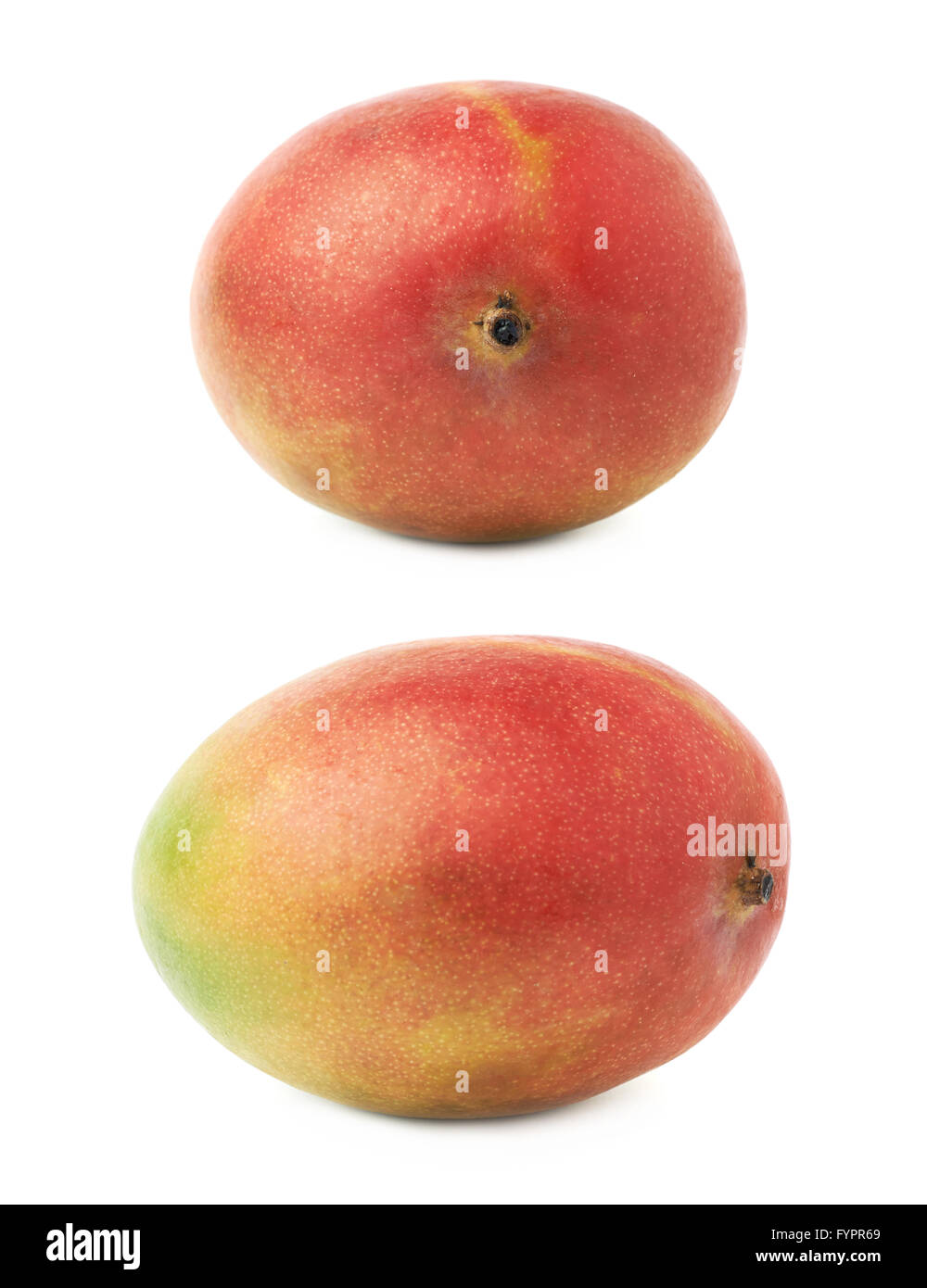 Single mango fruit isolated Stock Photo - Alamy