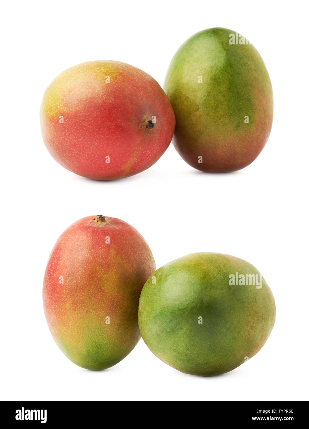 Two mango fruits isolated Stock Photo - Alamy
