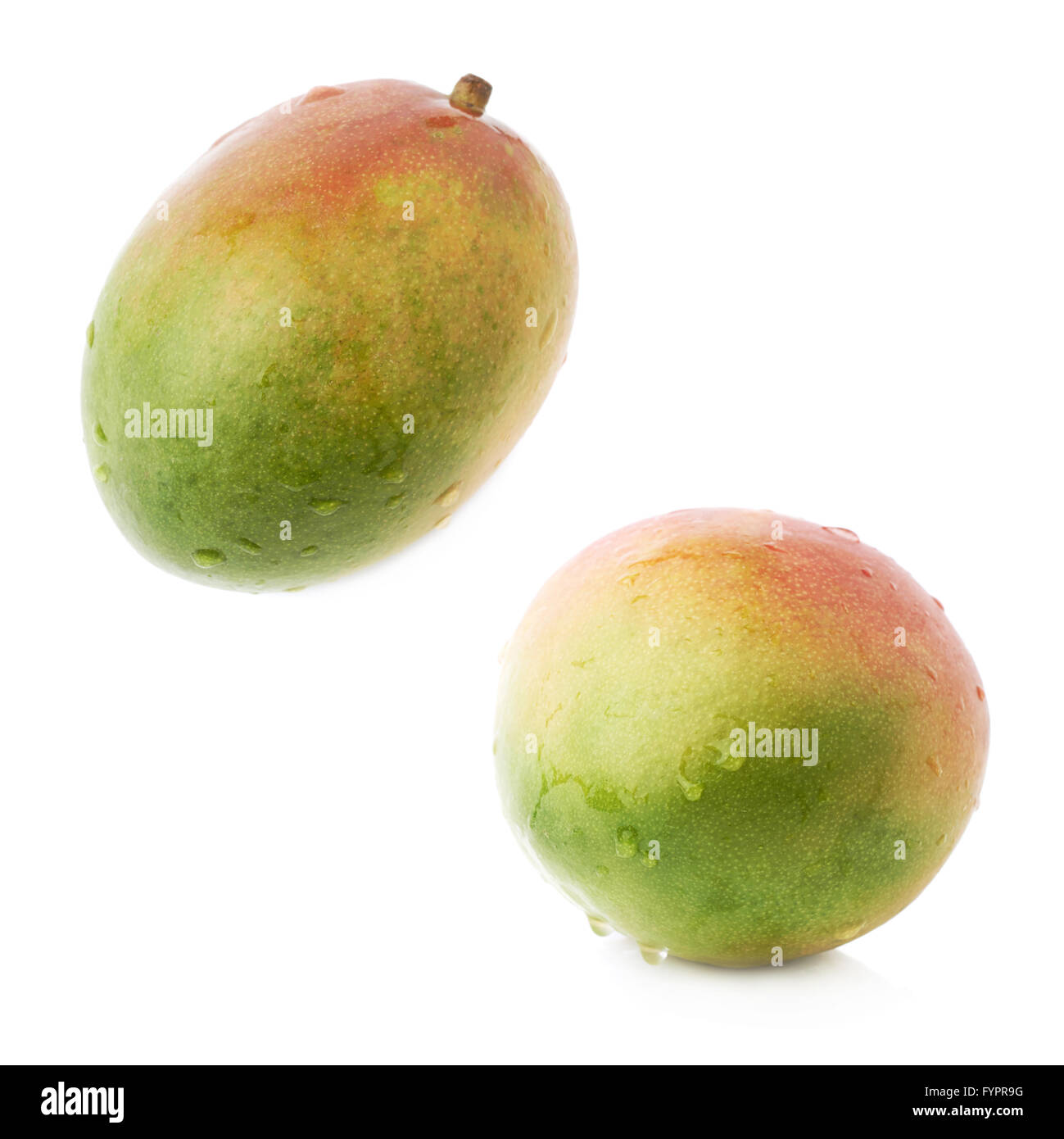 Single mango fruit isolated Stock Photo - Alamy Single mango fruit isolated Stock Photo - Alamy