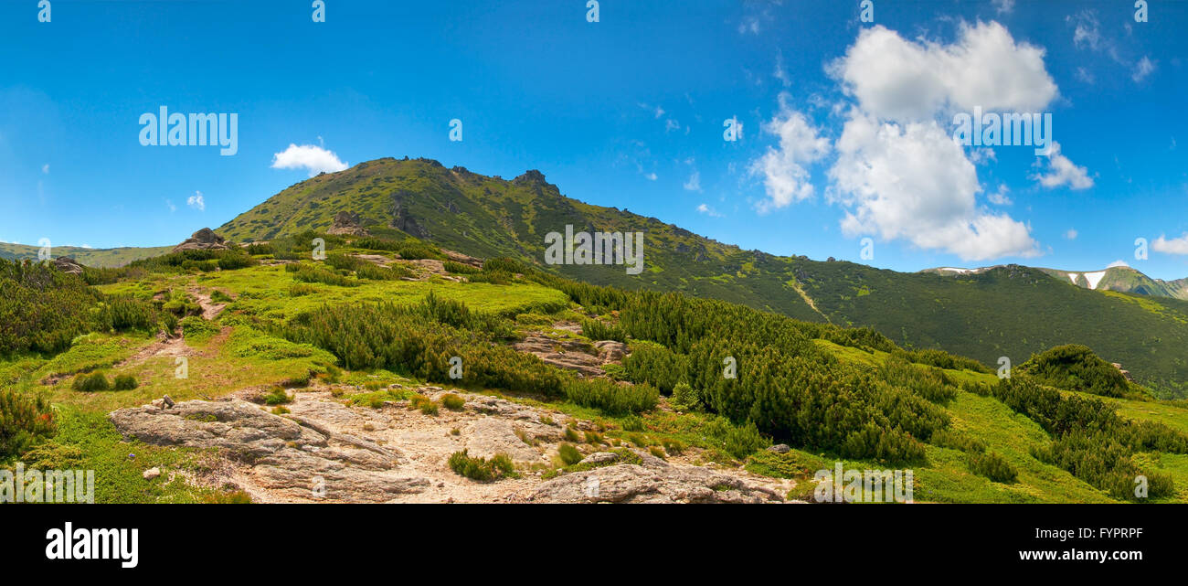 Summer mountain view Stock Photo - Alamy