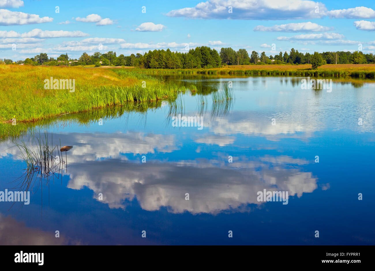 Rushy green hi-res stock photography and images - Alamy