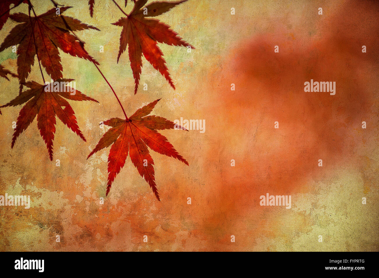 grunge background with autumn leaves Stock Photo - Alamy