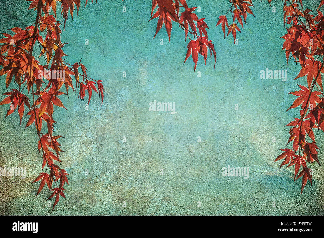 grunge background with autumn leaves Stock Photo - Alamy