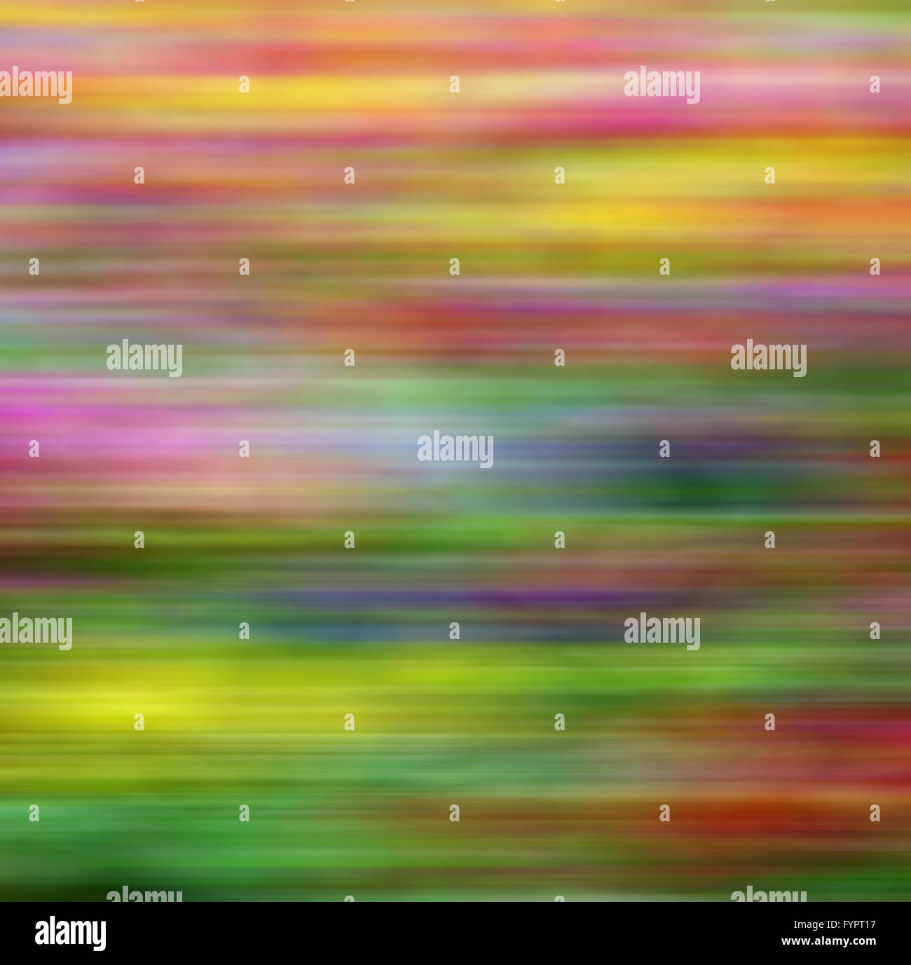 purple in london yellow flower field nature and spring Stock Photo - Alamy