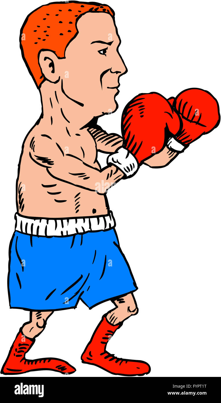 Boxer Fighting Stance Cartoon Stock Photo - Alamy