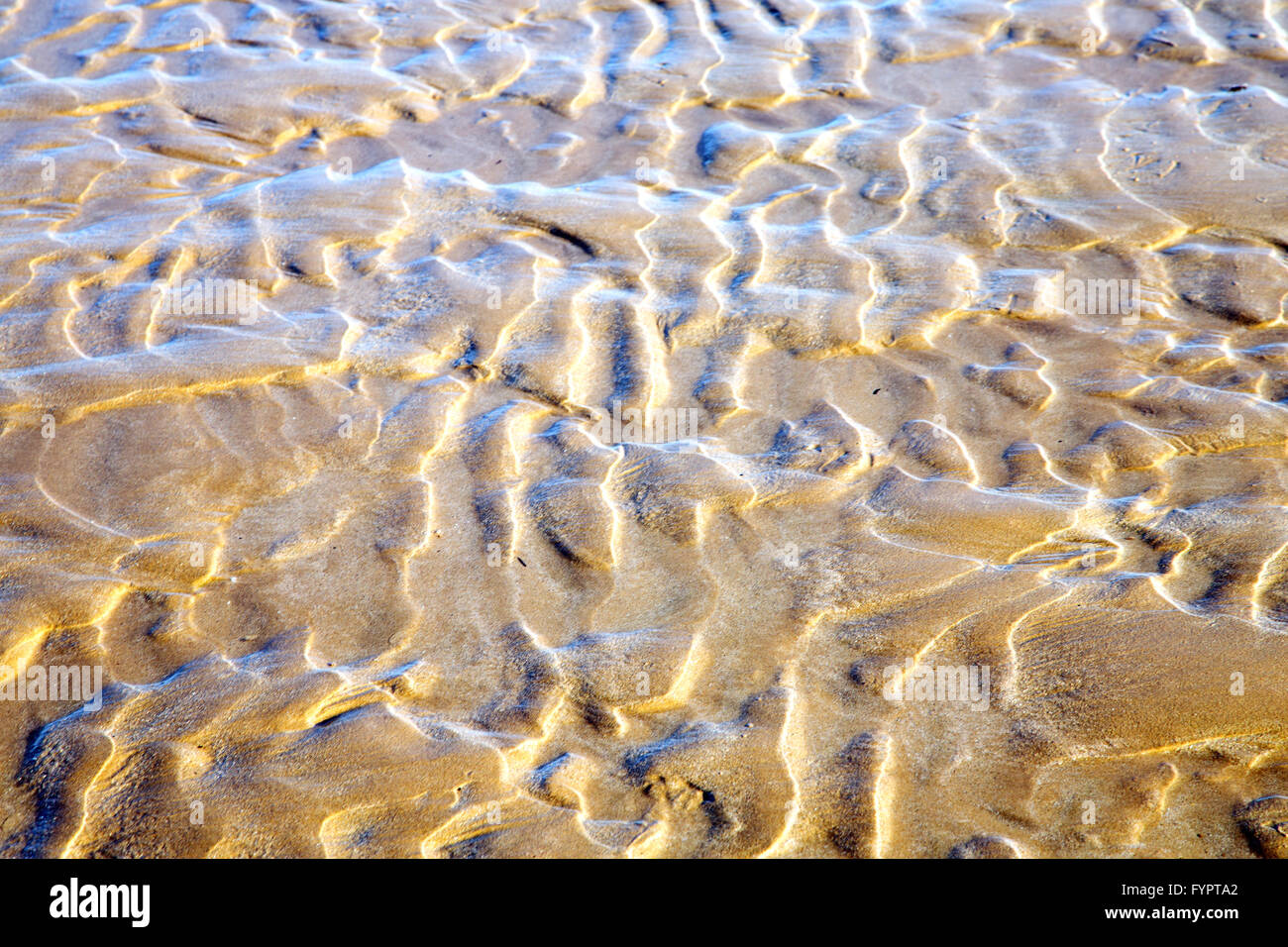 dune morocco africa wet sand beach ocean Stock Photo - Alamy