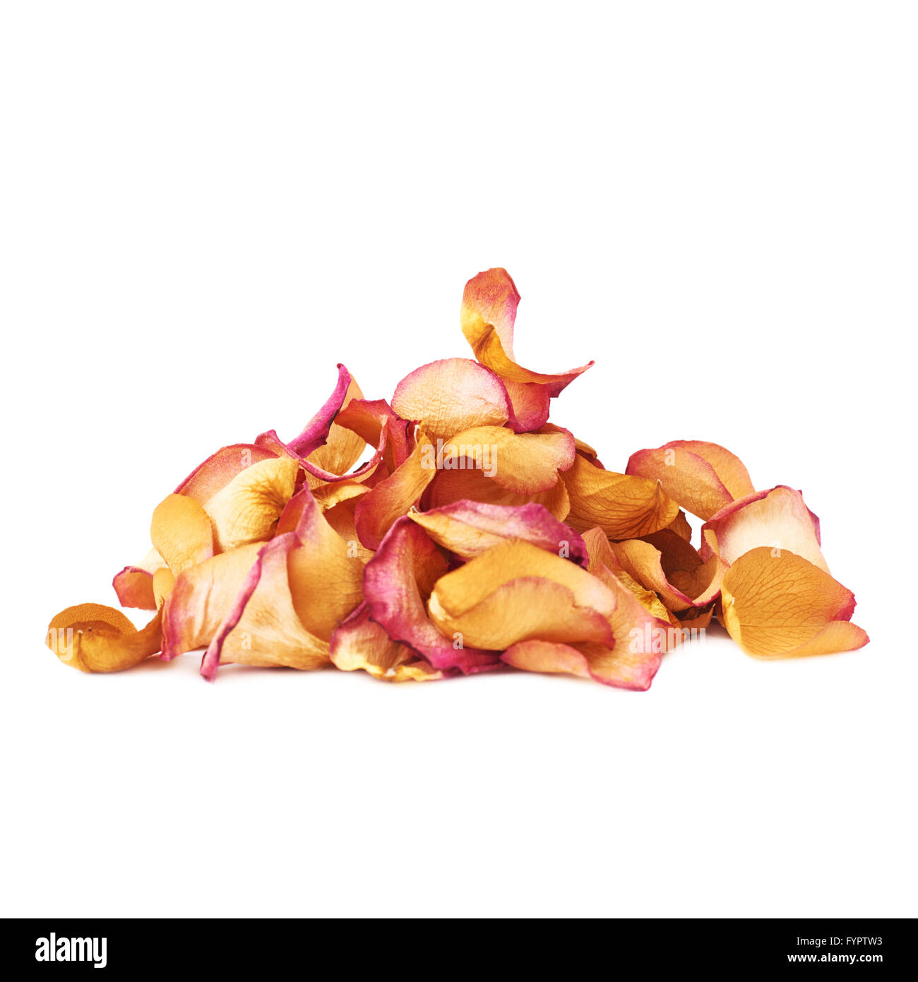 Pile of pink rose petals as a romantic composition over white ...