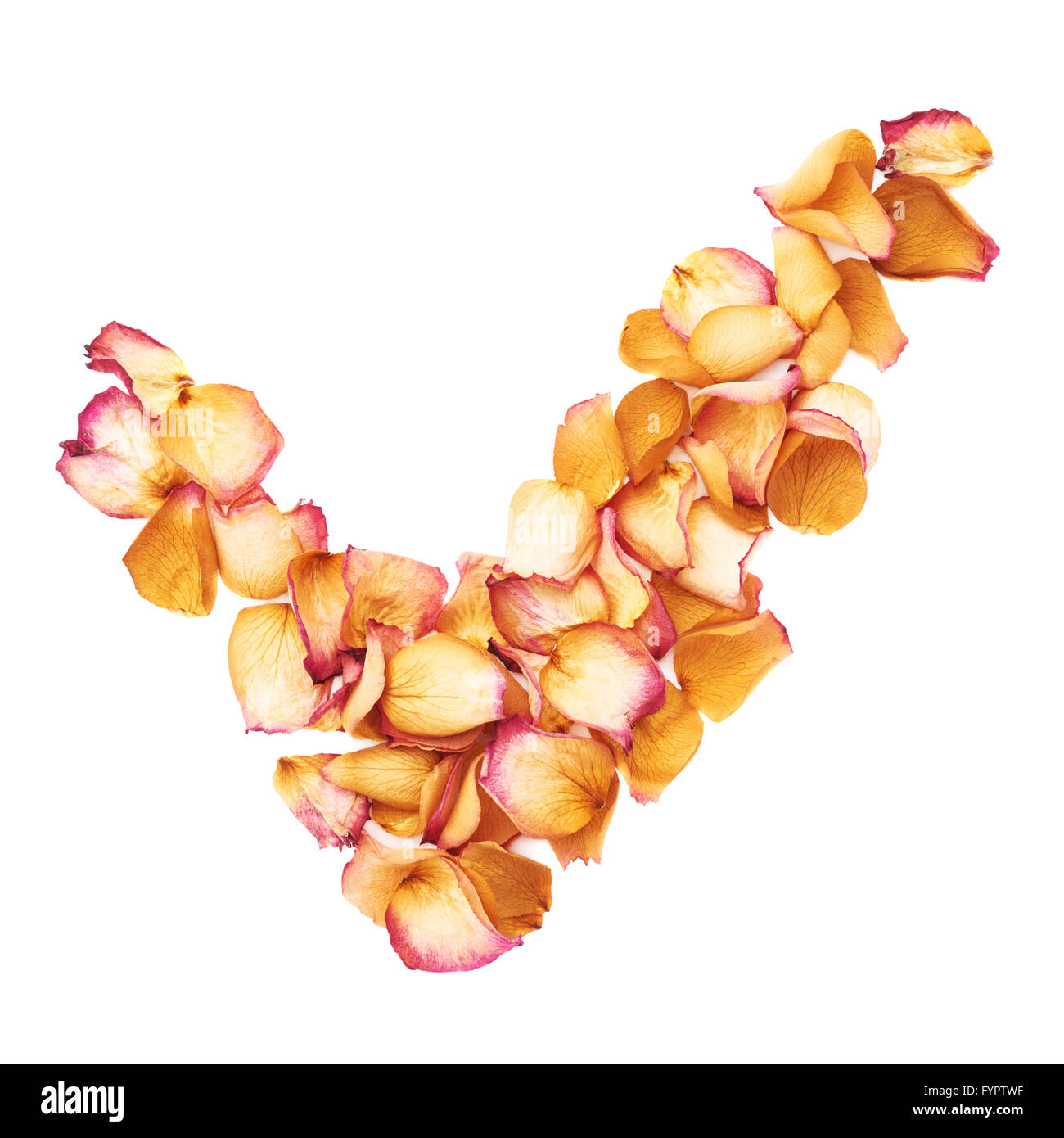 Yes tick mark made of pink rose petals as a romantic composition over ...