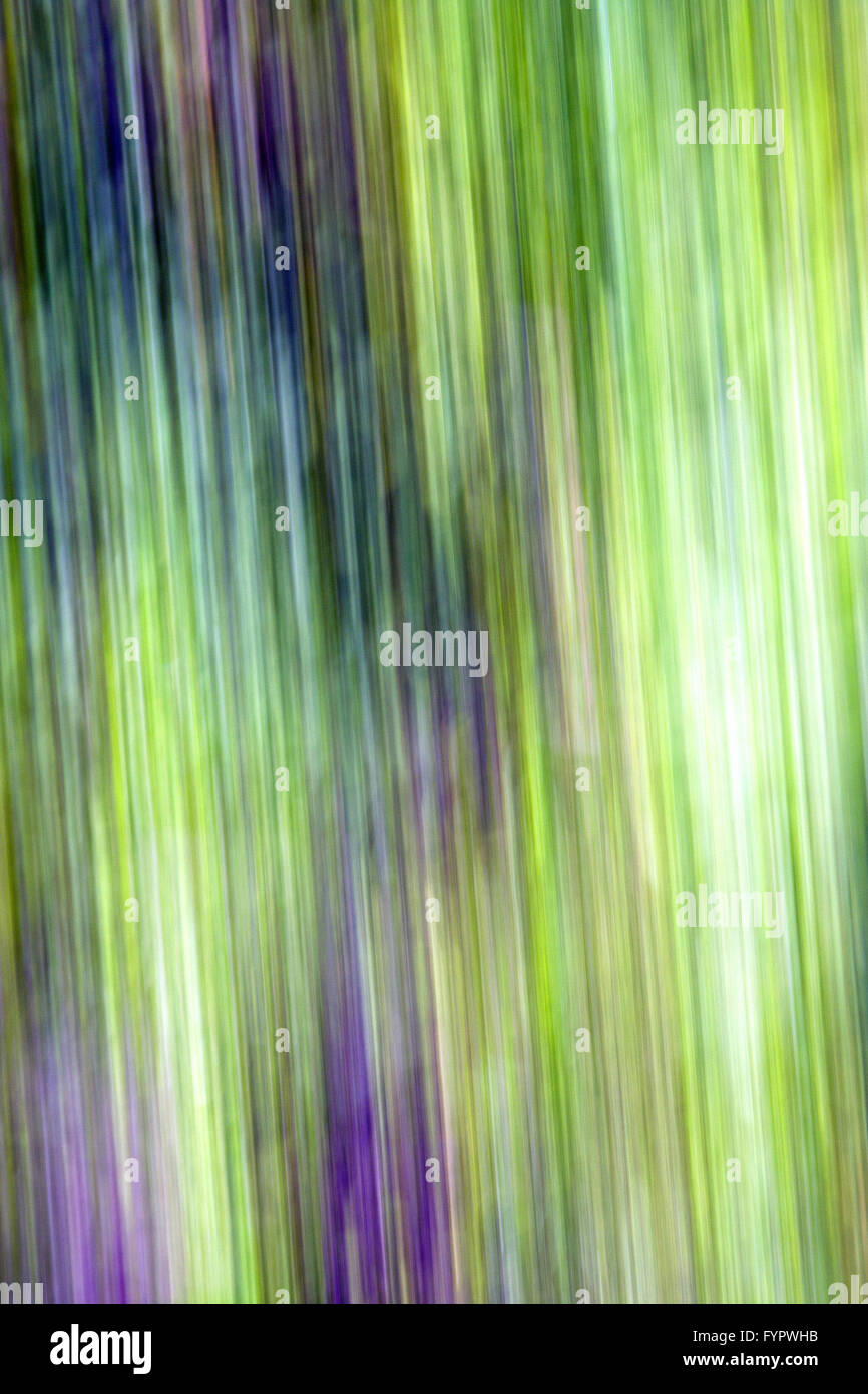 nature background line Stock Photo - Alamy