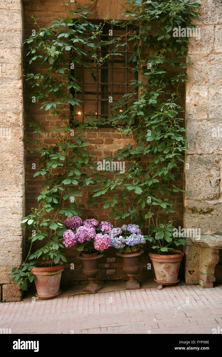 Alcove and plants hi-res stock photography and images - Alamy