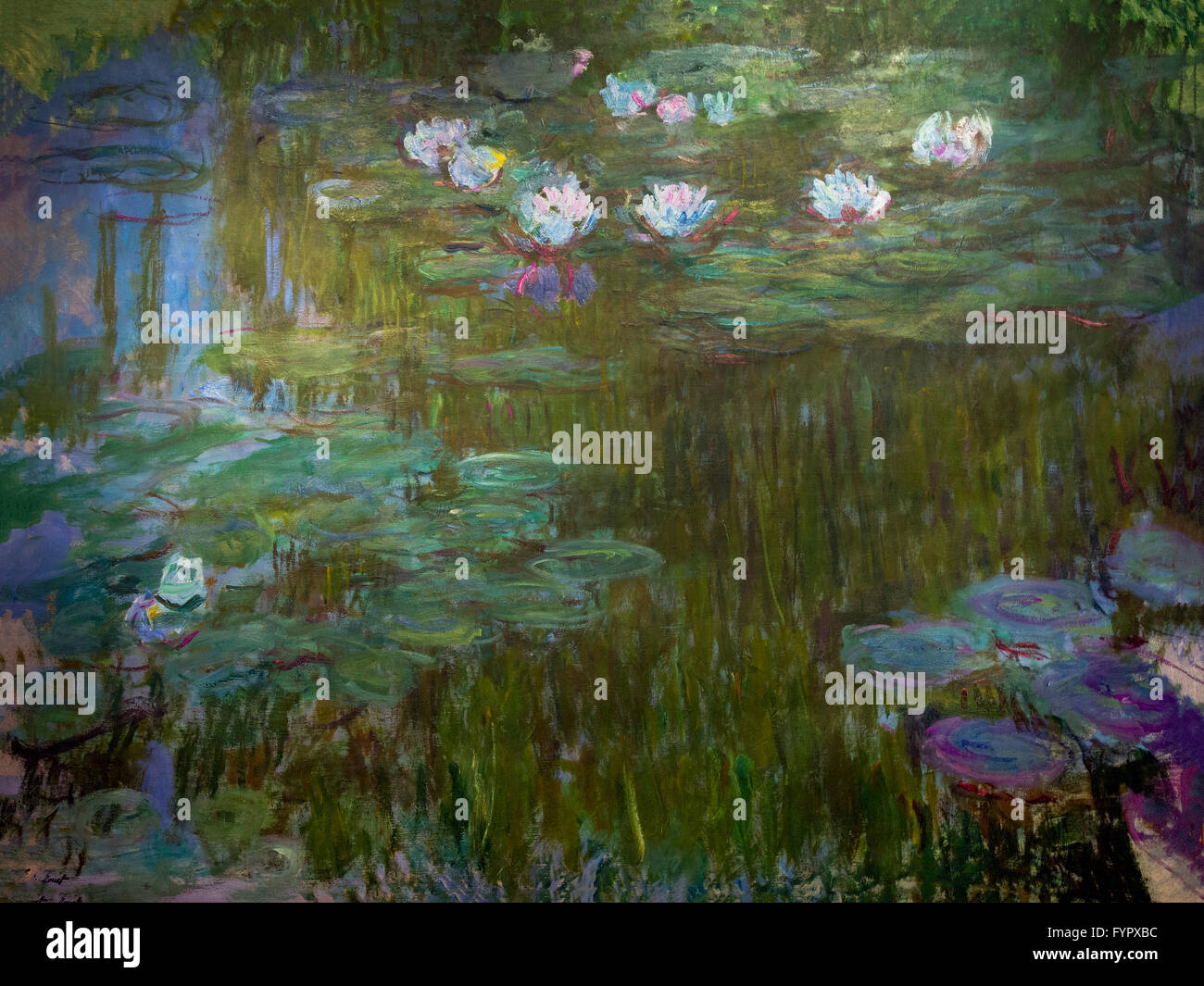 Monet nymphéas marmottan hi-res stock photography and images - Alamy