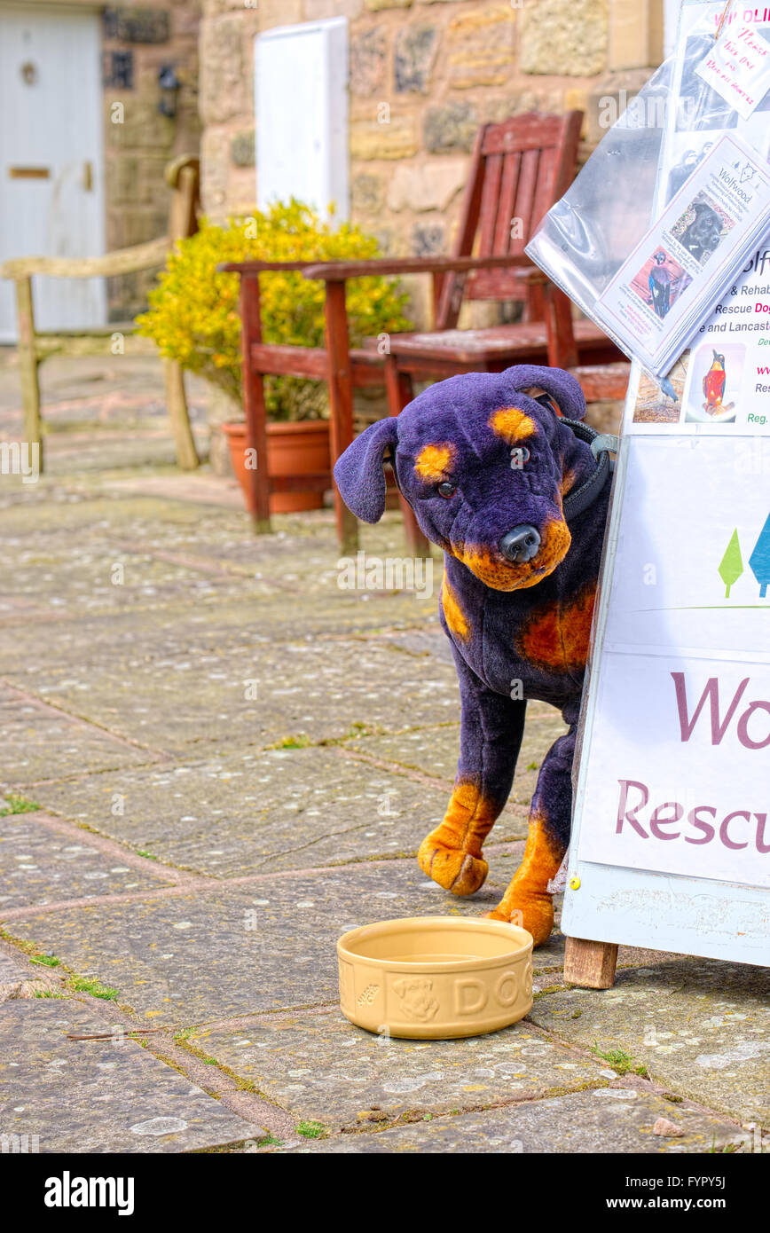 scarecrow at wray festival april 2016 Stock Photo - Alamy