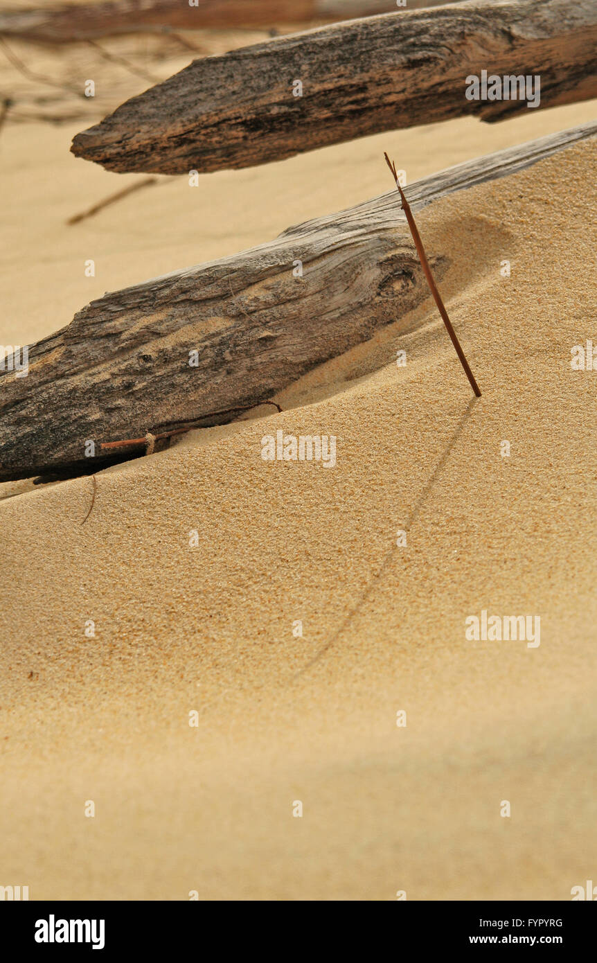 Stick in sand shadow hi-res stock photography and images - Alamy