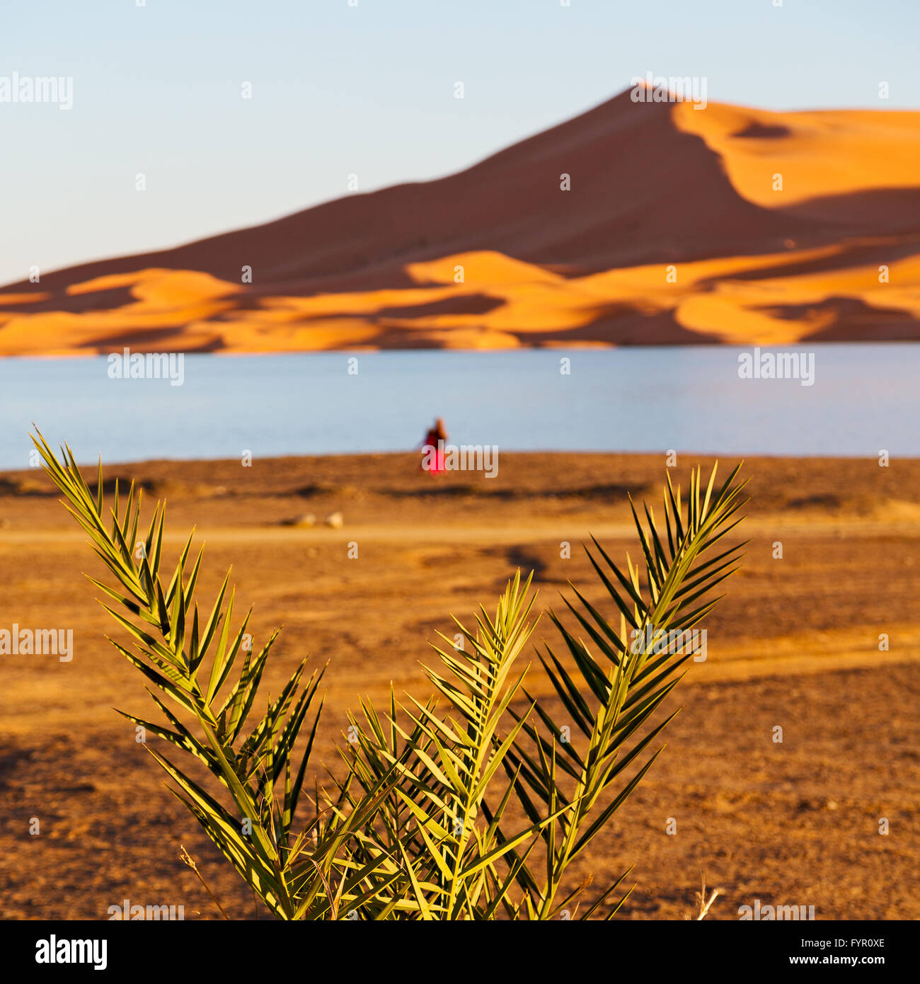 sunshine in the lake yellow desert of morocco sand and dune Stock Photo ...