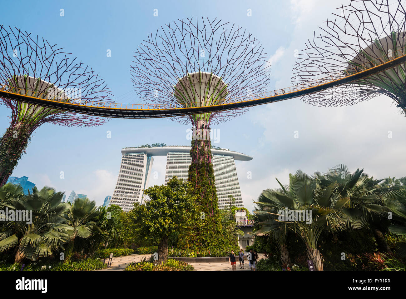 Bridge singapore trees hi-res stock photography and images - Alamy