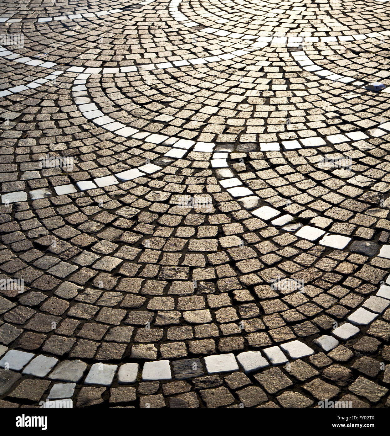 Castano primo hi-res stock photography and images - Alamy