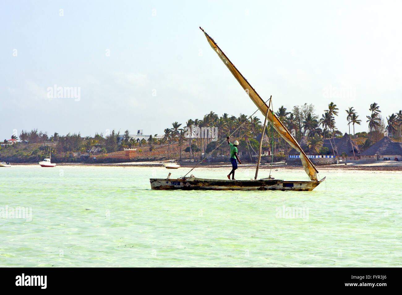 beach in zanzibar seaweed palm sand isle sky and sailing Stock Photo ...