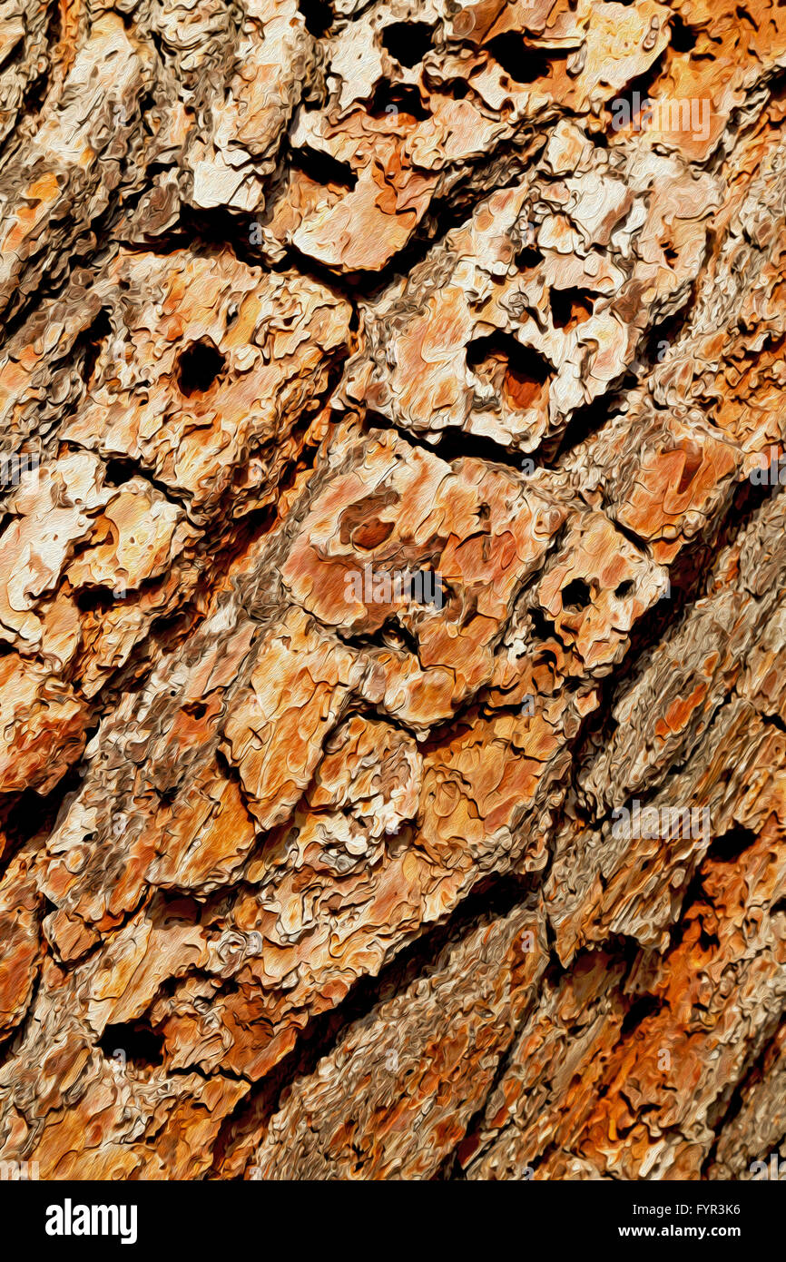 barck in the abstract close up of a tree color and texture Stock Photo ...