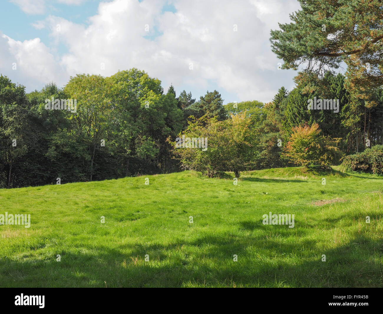 View of Tanworth in Arden Stock Photo - Alamy
